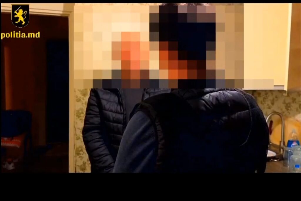 VIDEO// Ați auzit despre ciuperci halucinogene? Doi tineri au fost reținuți pentru că vindeau ...